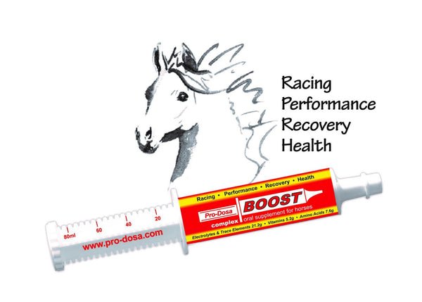Pro-Dosa Boost Paste 80ml – Magnito Stockfeeds
